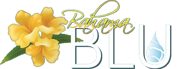 Bahama Blu Water Logo | FirstCare Medical Plan